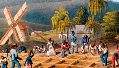 La ganadería en América Colonial | Historia Universal